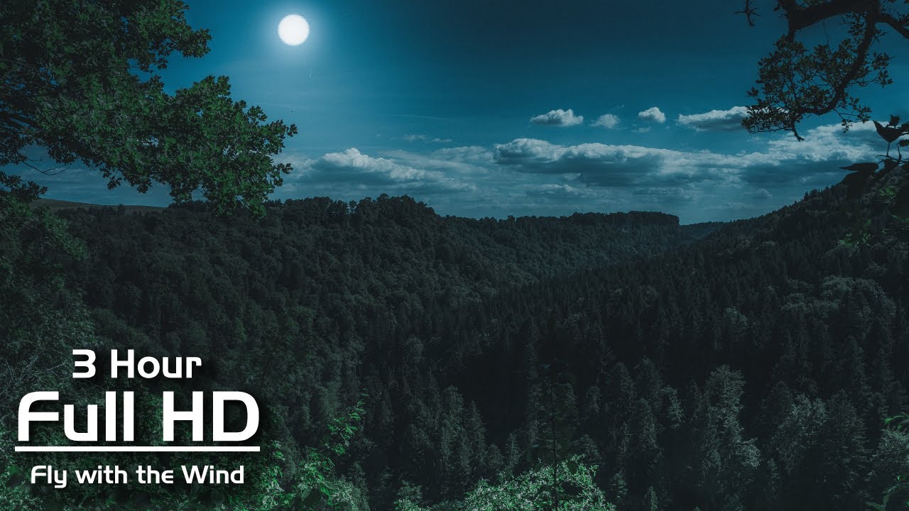 Nature Video With Relaxing Music | Piano Music | Calm Music | Sleeping ...