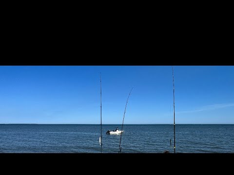Cape Cod Bluefish Drone footage - YouTube