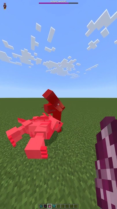 Minecraft Warden Vs Mutant Axolotl Shorts Minecraft