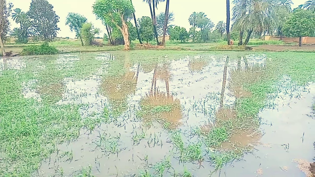 Barish Status in Village Natural Beauties with Sound 👌 - YouTube