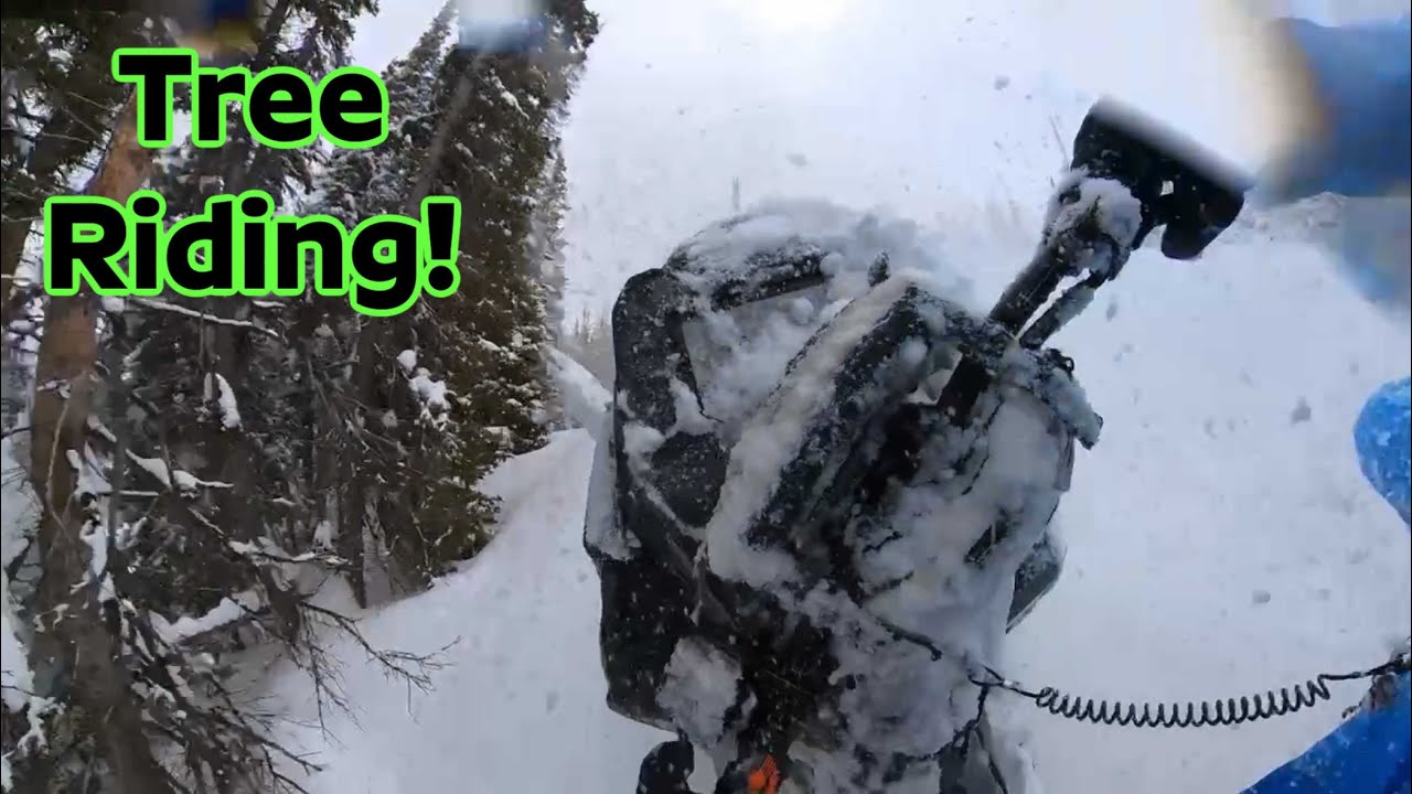 FAST SNOWMOBILE RIDE IN THE TREES - YouTube