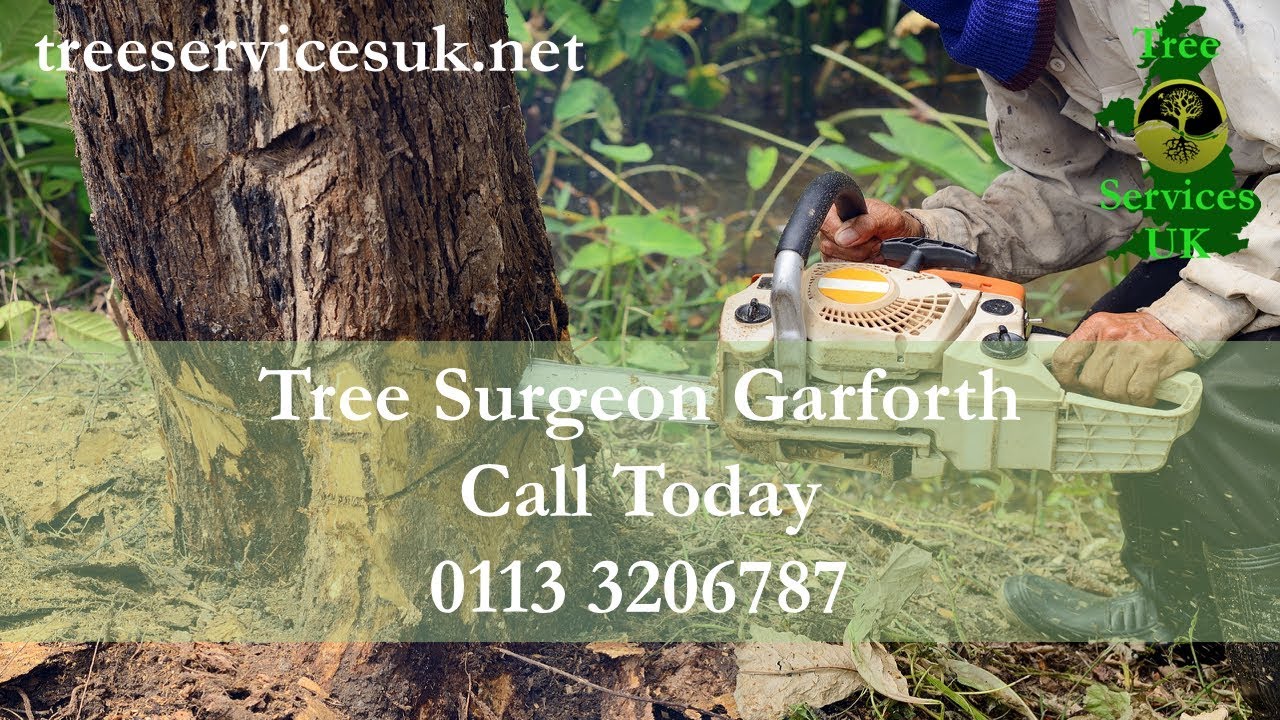 Tree Surgeon Garforth Leeds LS25 - Tree Felling And Removal Services ...