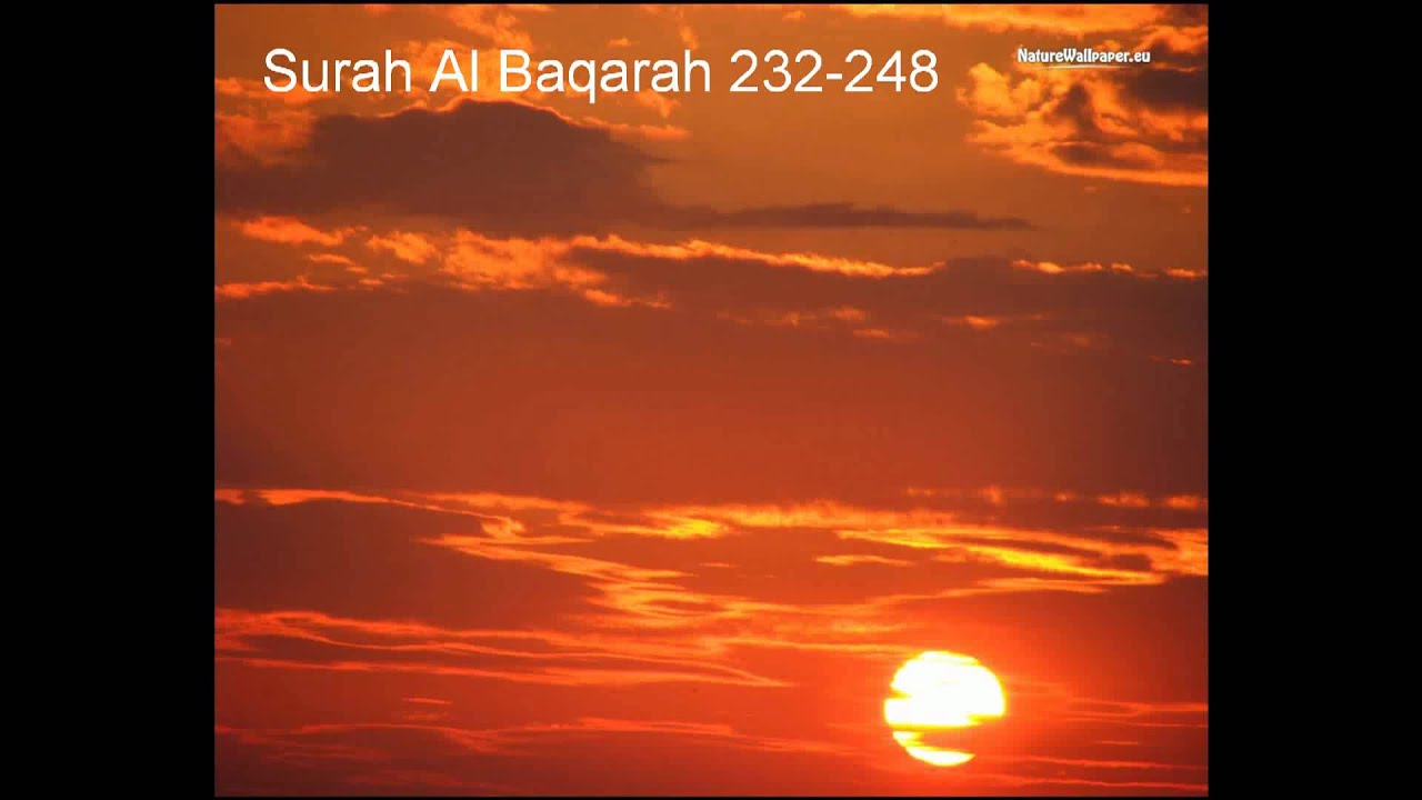 Surah Al BAQARAH Part 10 (232-248) Beautiful by Abdul WADOOD Al Asim ...