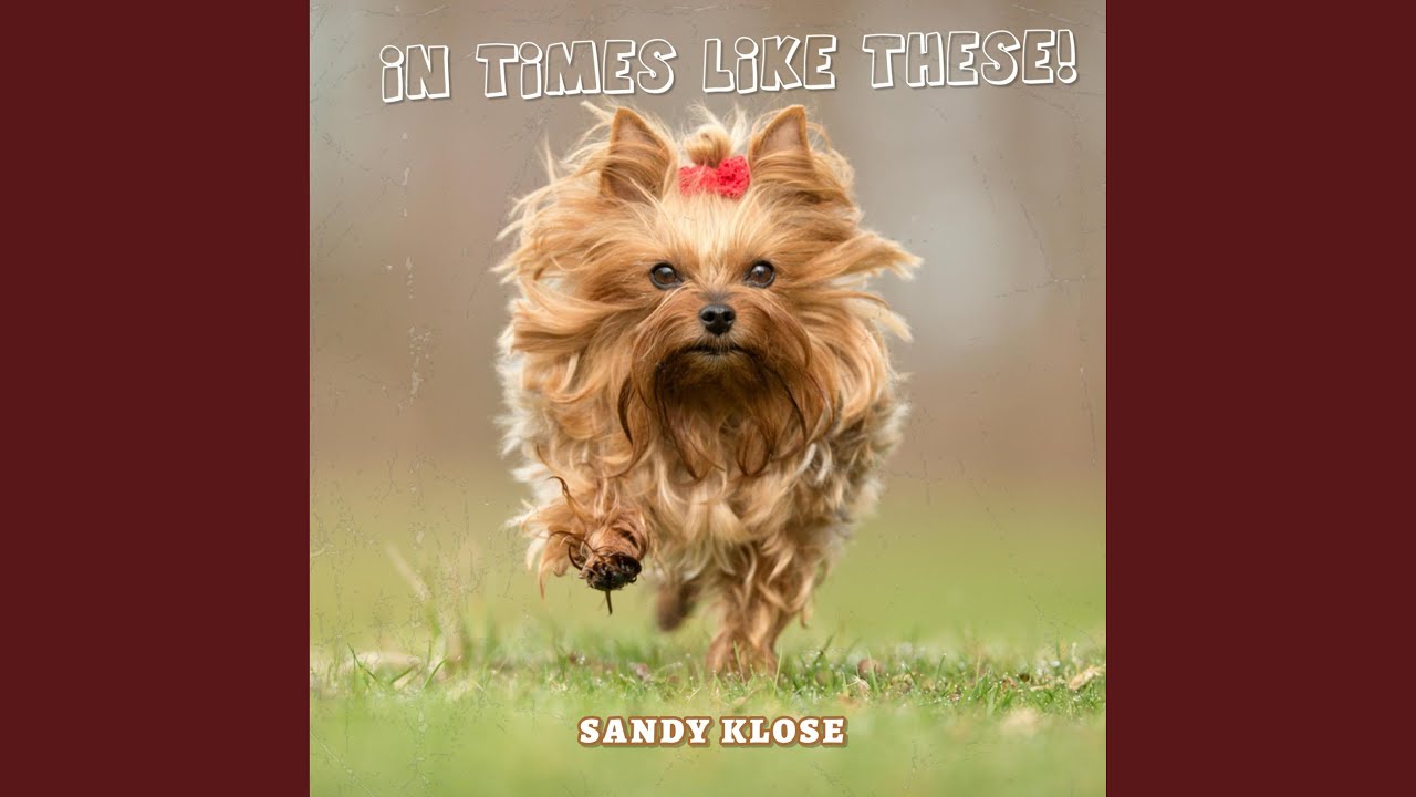 IN TIMES LIKE THESE - YouTube