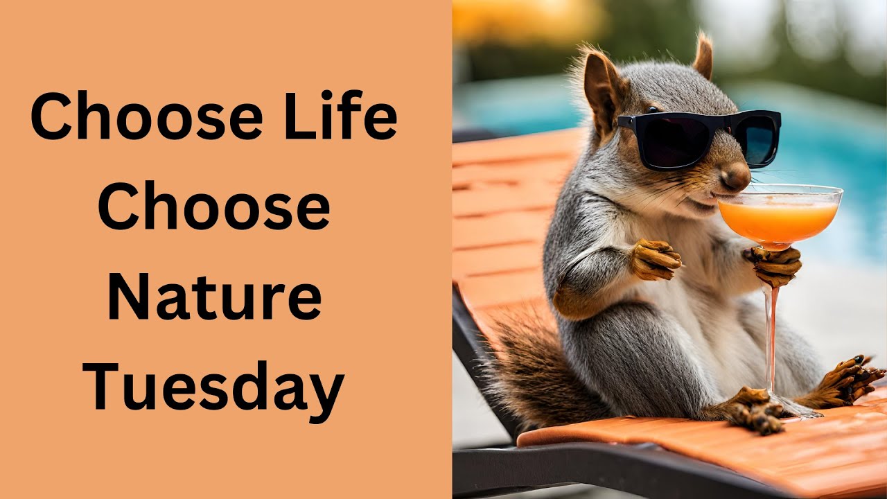 Choose Life Choose Nature Tuesday - YouTube