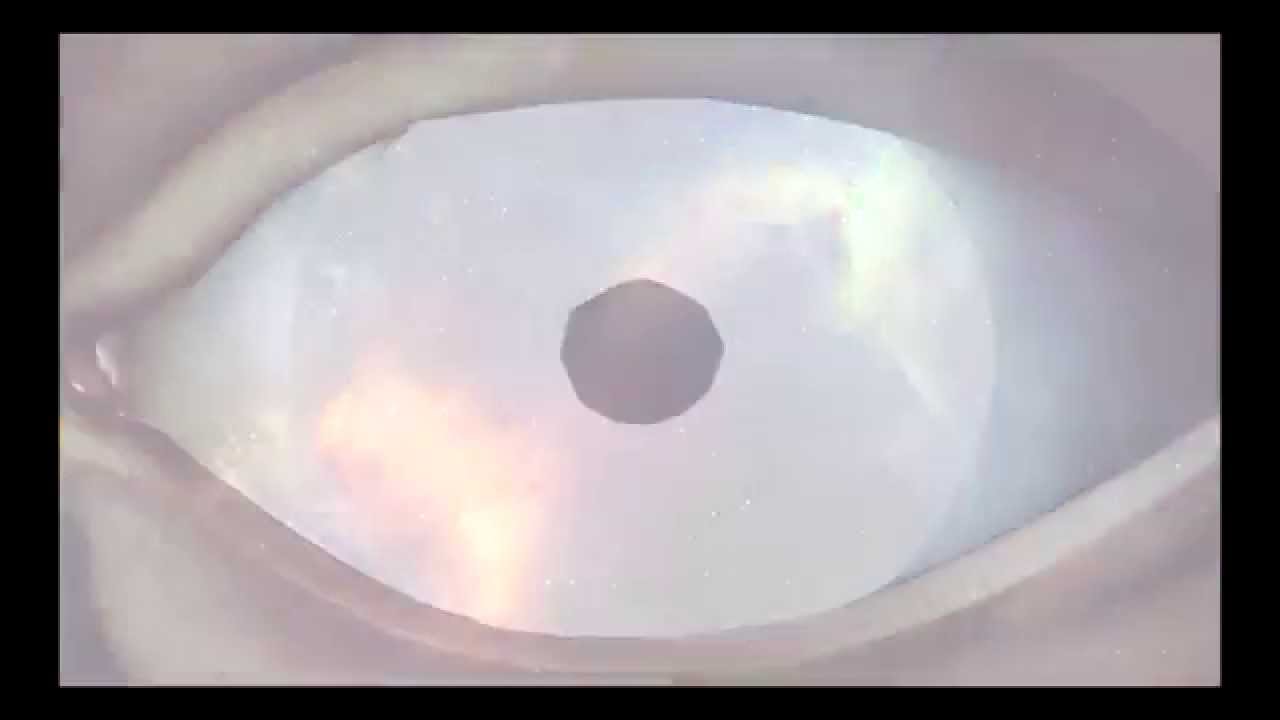 El falso espejo - YouTube