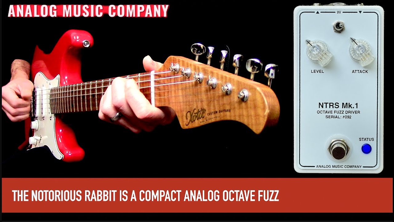 Analog Music Company NOTORIOUS RABBIT OCTAVE FUZZ - YouTube