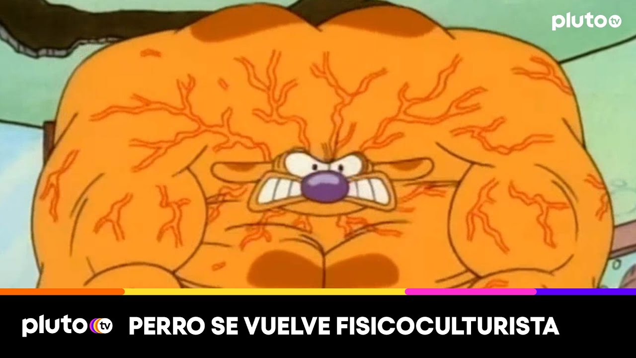 Perro se pone fuertísimo | Catdog | Pluto TV - YouTube