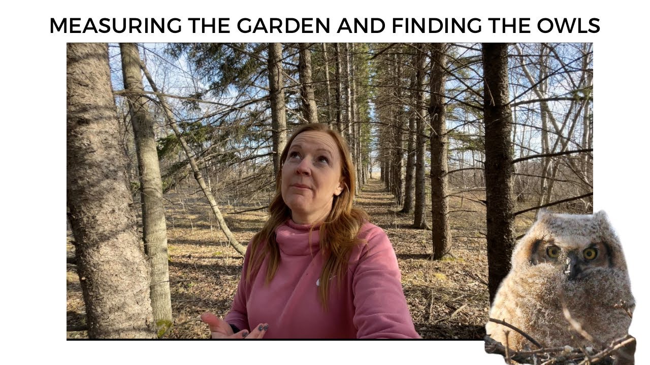 Measuring The Garden and Finding The Owls - YouTube