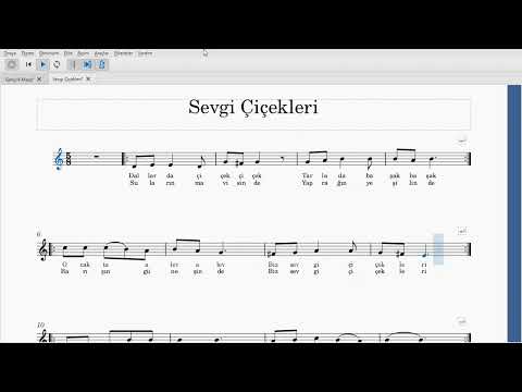 Sevgi Çiçekleri