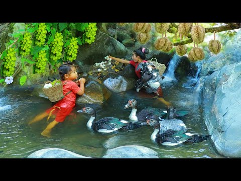 Women and son catch duck in river meet Durian with Grapes - cooking duck for dog Delicious