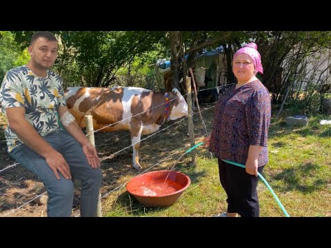 EN SONUNDA HASTANELİK OLDUM~EŞİMLE HAYVANLARA BAKIYORUZ~ZOR GÜNLER