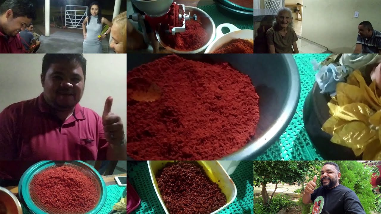 Urucum: Como fazer colorau (corante) + Receita: Café de Carnaúba - YouTube