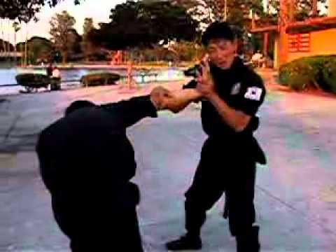 Chosun Ninja - DTG Karate Two Hand Backside Grab Sampler - YouTube