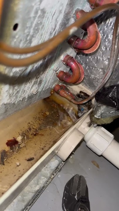 How to clean Ac drain line #indoorAIRQUALiTYLLC #IAQLLC # ...