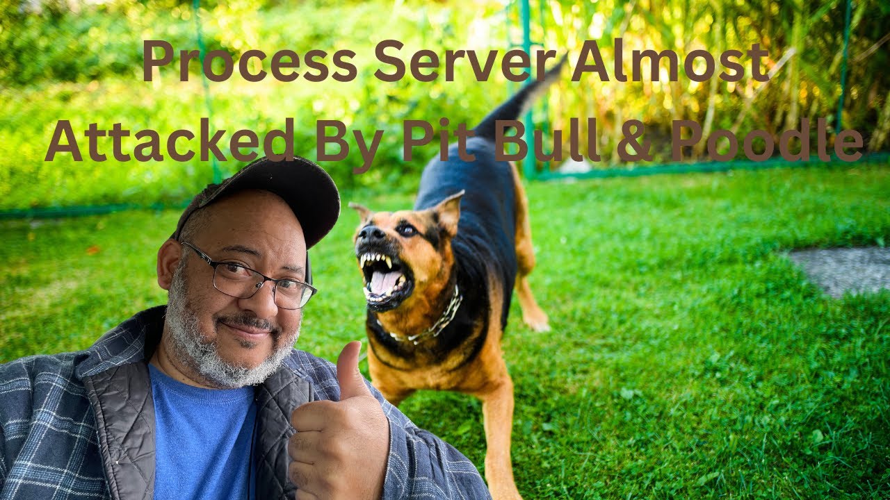 Process Server Almost Attacked by Pit Bull and Poodle. Is Being A ...
