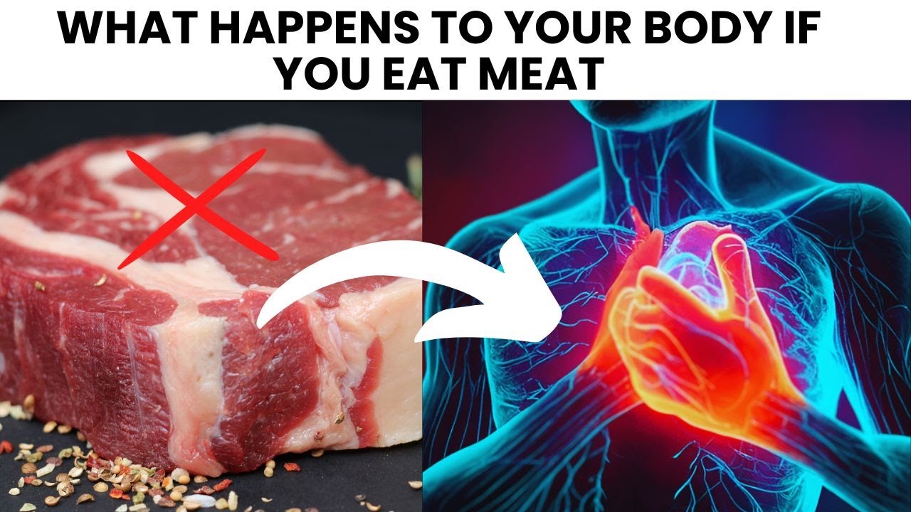 What Happened to your Body If You Eat Meat #nutrition #food #life # ...