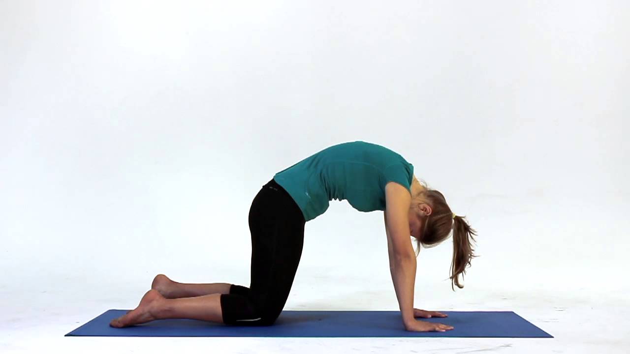 Cat-Cow (10 Reps) - YouTube