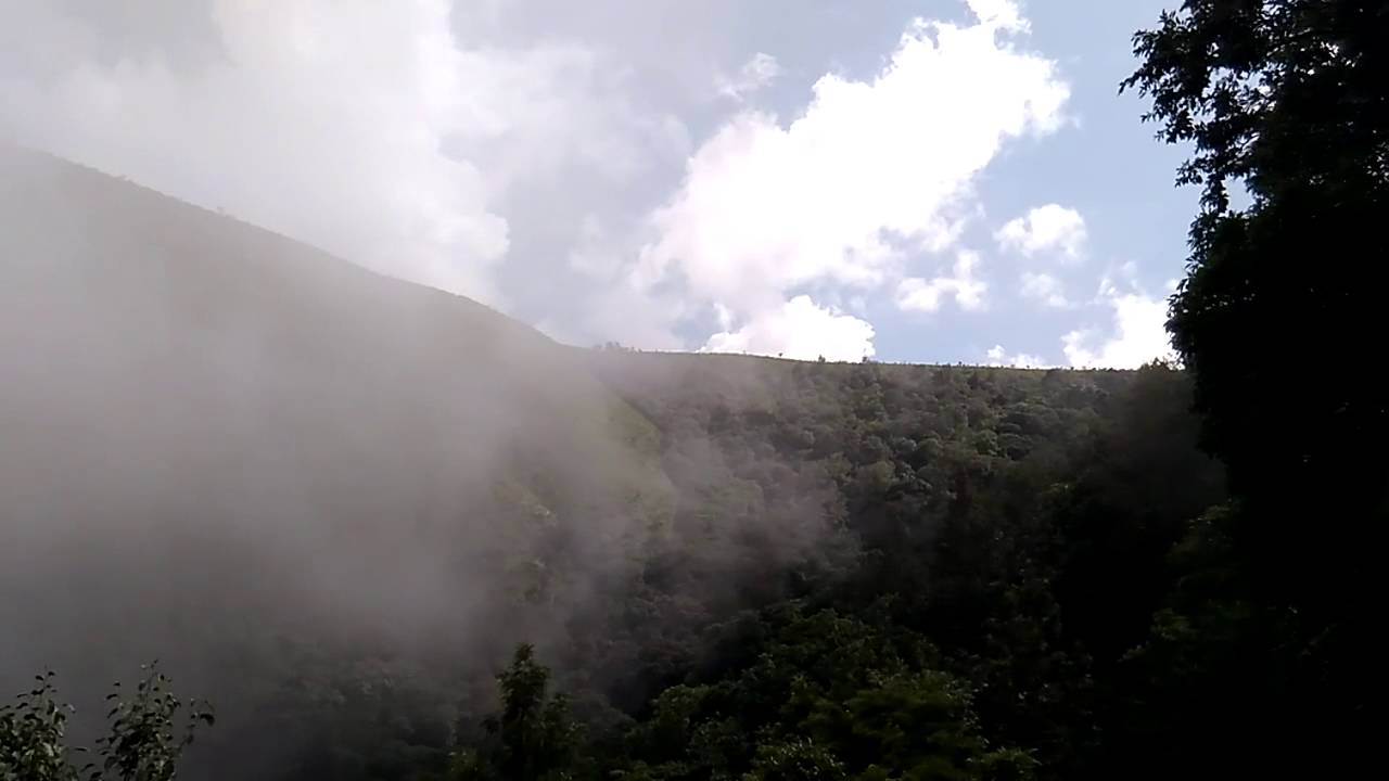 Araku Hills & Forest - YouTube