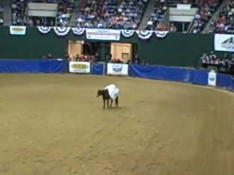 Stacy Westfall at Dixie National Freestyle Reining 2-17-12, Jackson MS ...