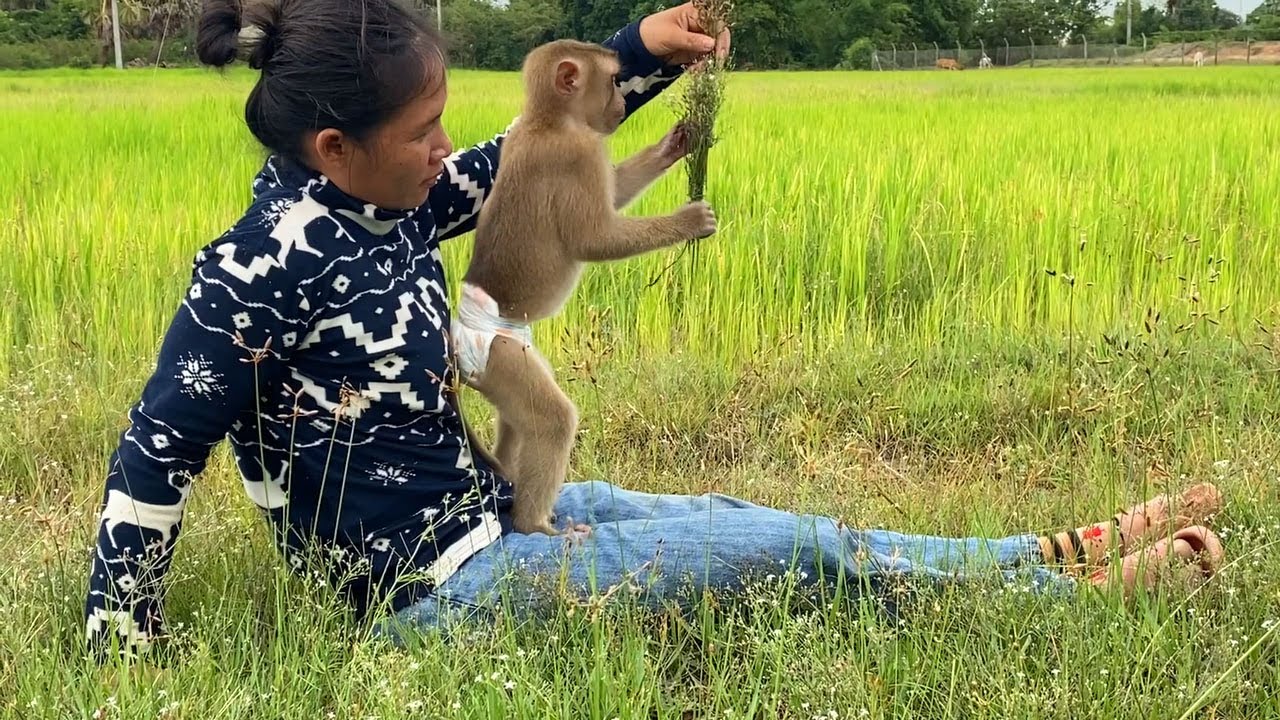Amazing place of mom and beloved monkey Ella on free time to get fresh ...