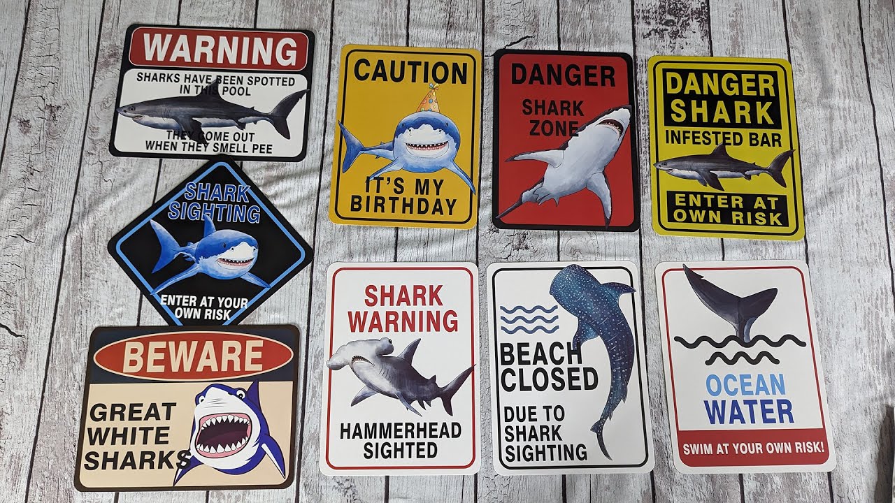 These Shark Signs Are a GREAT Party Decoration! - YouTube