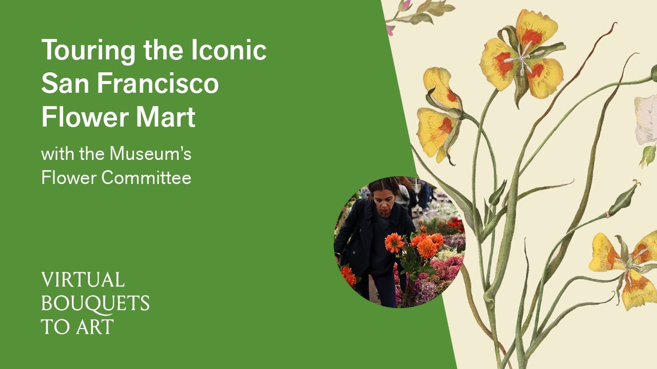 Virtual Bouquets to Art: Touring The Iconic SF Flower Mart - YouTube
