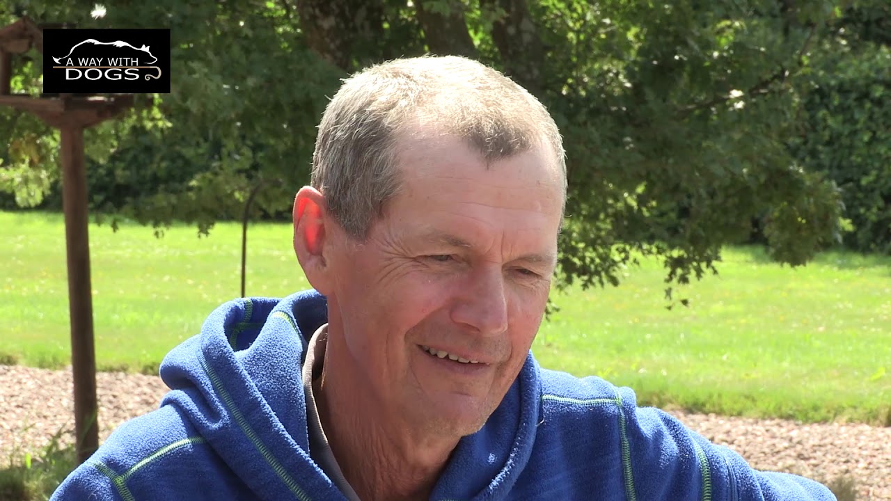 Sheepdog Trial Cont. Ch. Mosse Magnusson & Paddy Fanning Full Interview ...