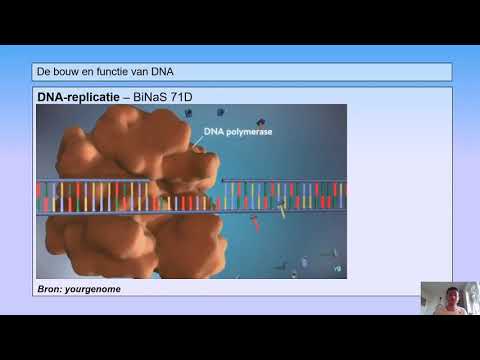NL 5 vwo | DNA | 2 | DNA-replicatie | Videoplatform | Scholieren.com