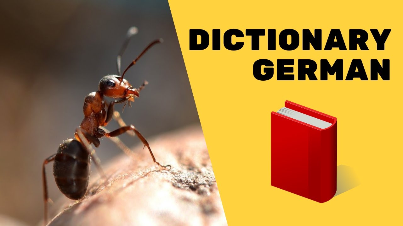 WÖRTERBUCH DEUTSCH: Ameise ⭐⭐⭐⭐⭐ - YouTube