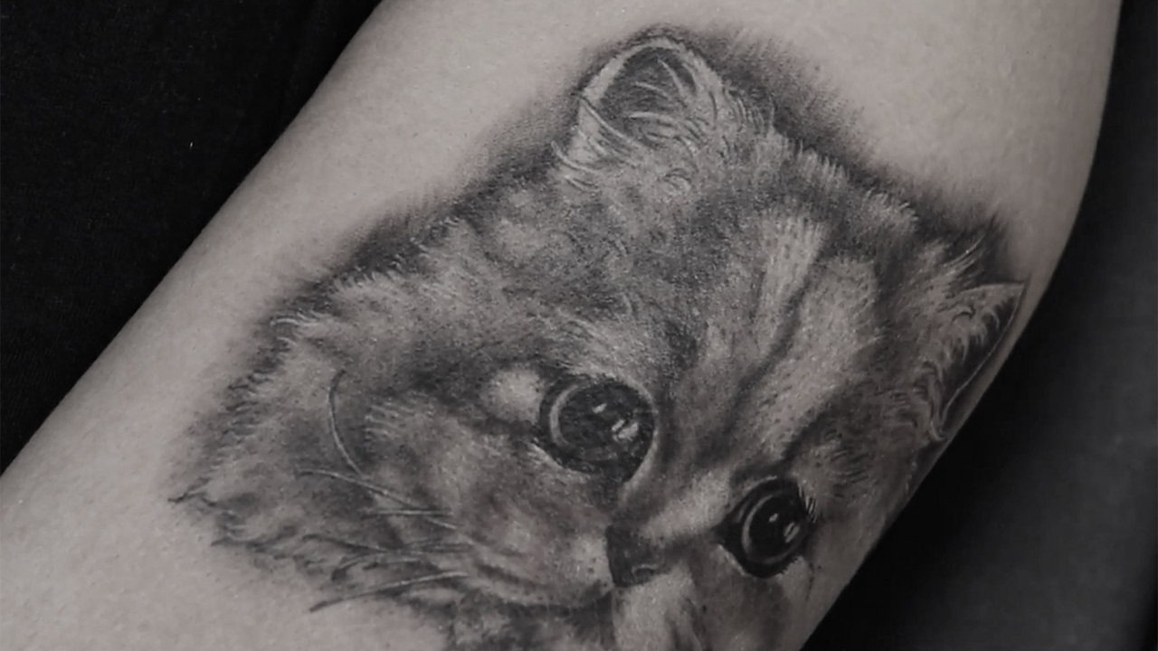 How to tattoo: realistic white cat - YouTube