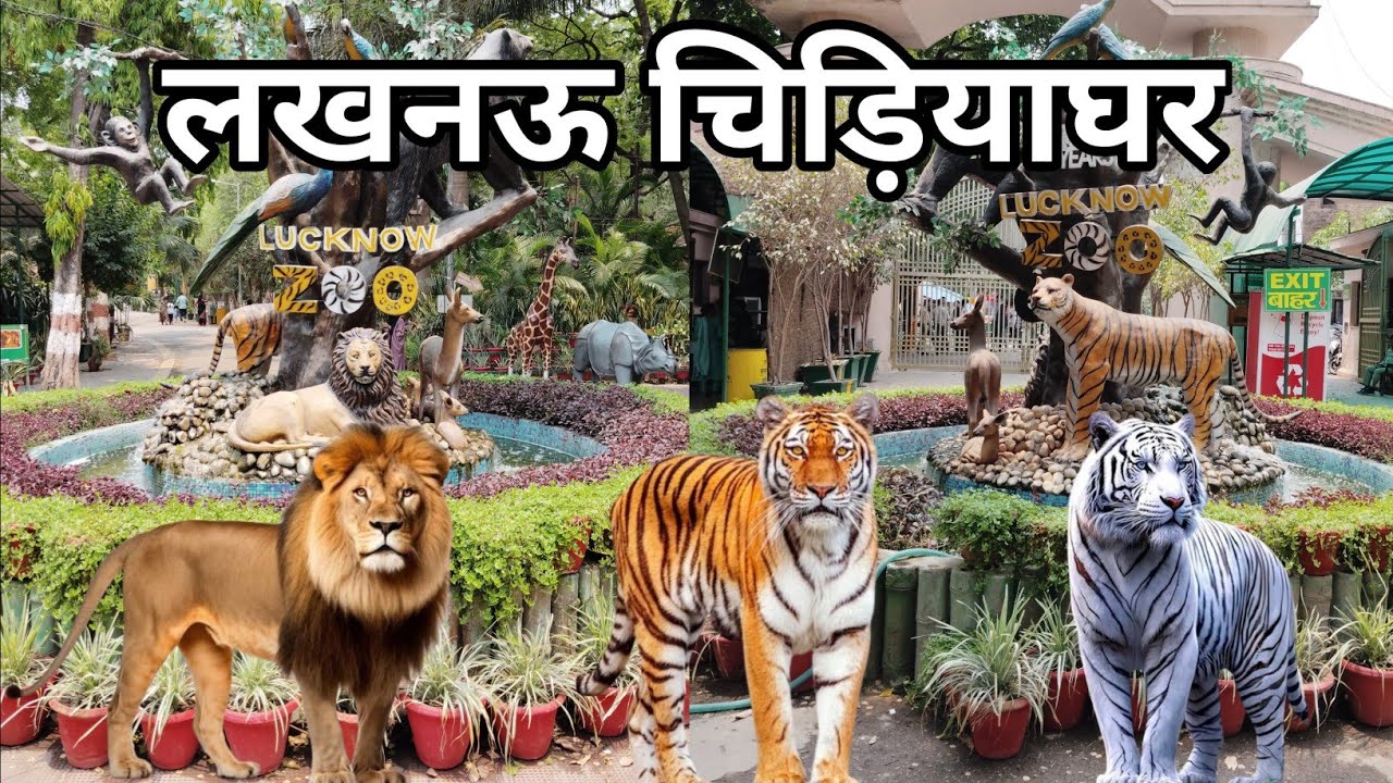 Lucknow Zoo🔥||लखनऊ चिड़ियाघर🦣||Nawab Wajid Ali Shah Zoological Park🔥 ...