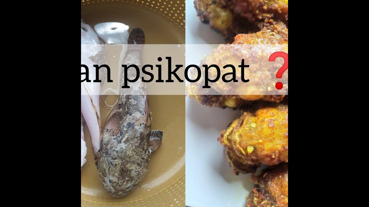 Ikan Psikopat Enak Banget Gurih Dagingnya Lembut Youtube