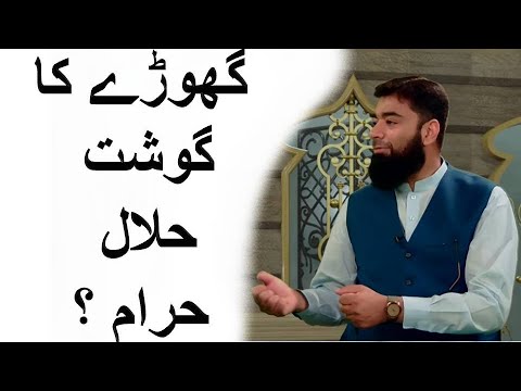 گھوڑا حلال یا حرام ۔ (HORSE HALAL YA HARAM ) [ BILAL AHMAD BUTT ]