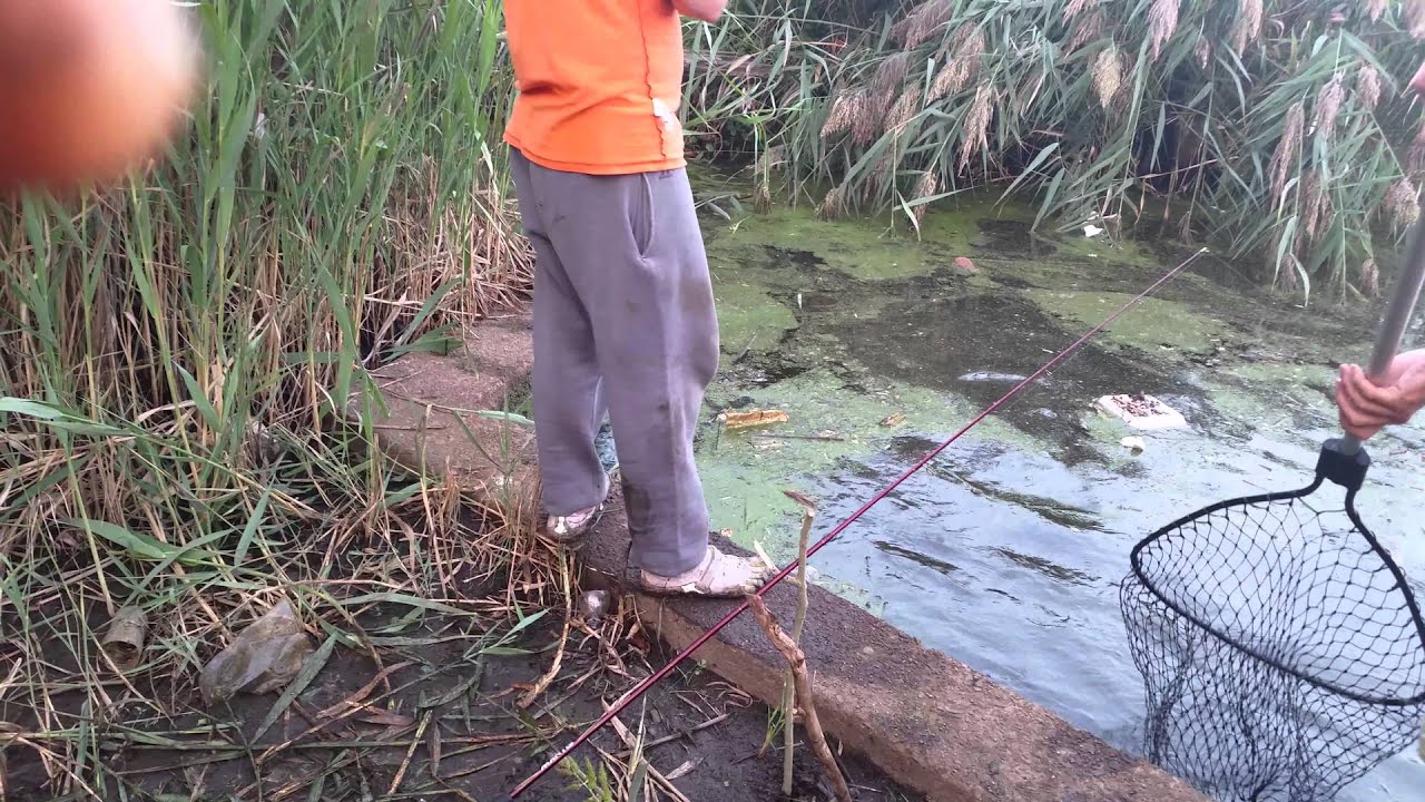 Gunnel Oval Park Mutant Ninja Turtle - YouTube