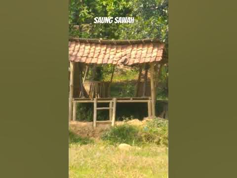 Saung sawah tempat pak tani melepas lelah #petanimudaindonesia - YouTube