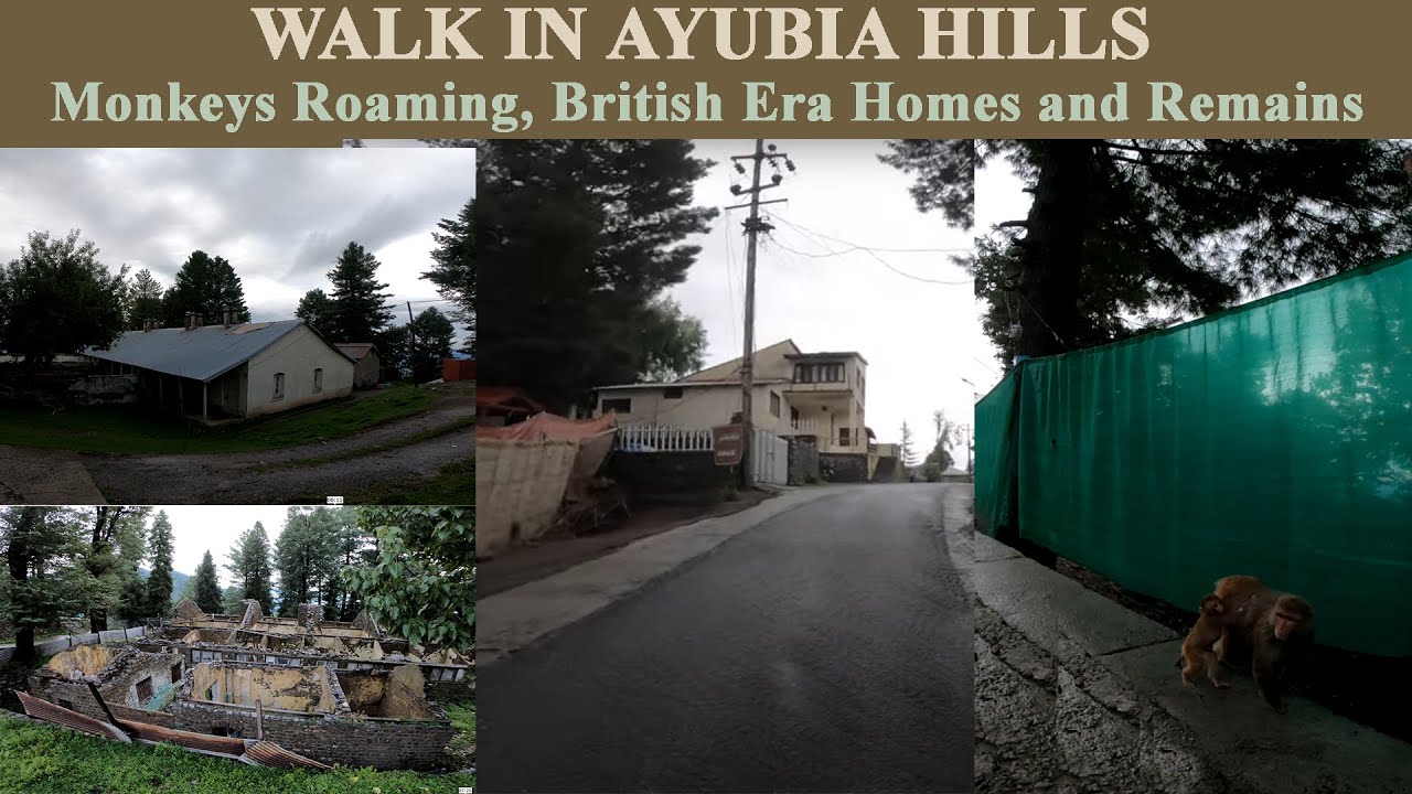 Most Scenic 4k Walking Tour of Ayubia Hills | Scenic Views of Hill Area ...