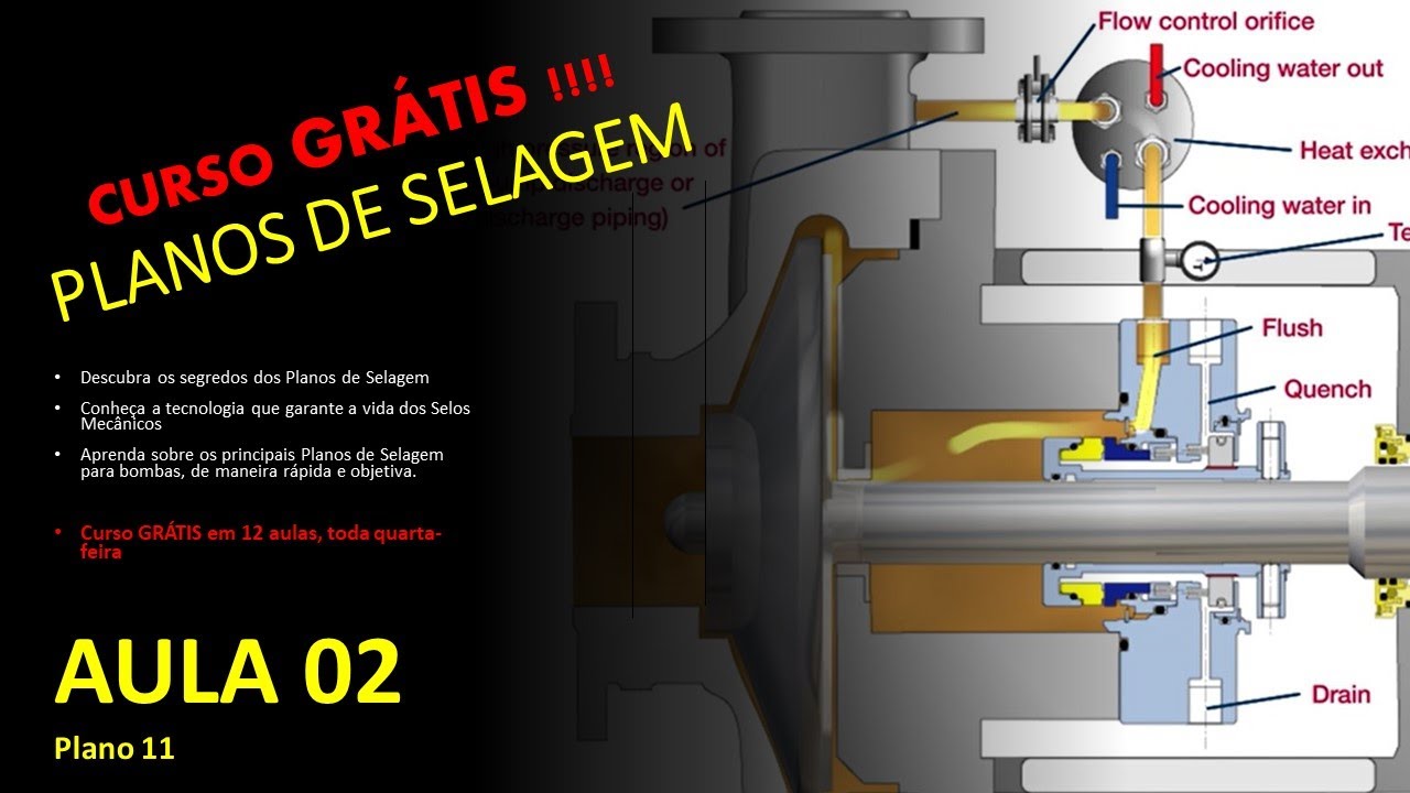 Aula 02 - CURSO GRATÍS DE PLANOS DE SELAGEM EM 12 AULAS - Conheça os ...