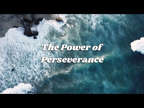 【Motivation & Inspiration】The Power of Perseverance: Slow and Steady ...