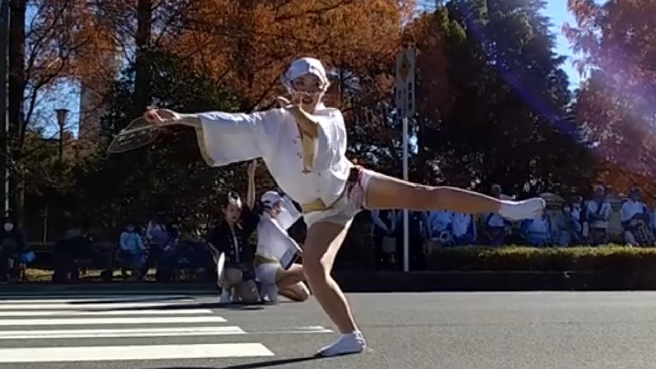 越谷産業フェスタ 阿波踊り Japanese traditional dance 'AWA-ODORI' - YouTube