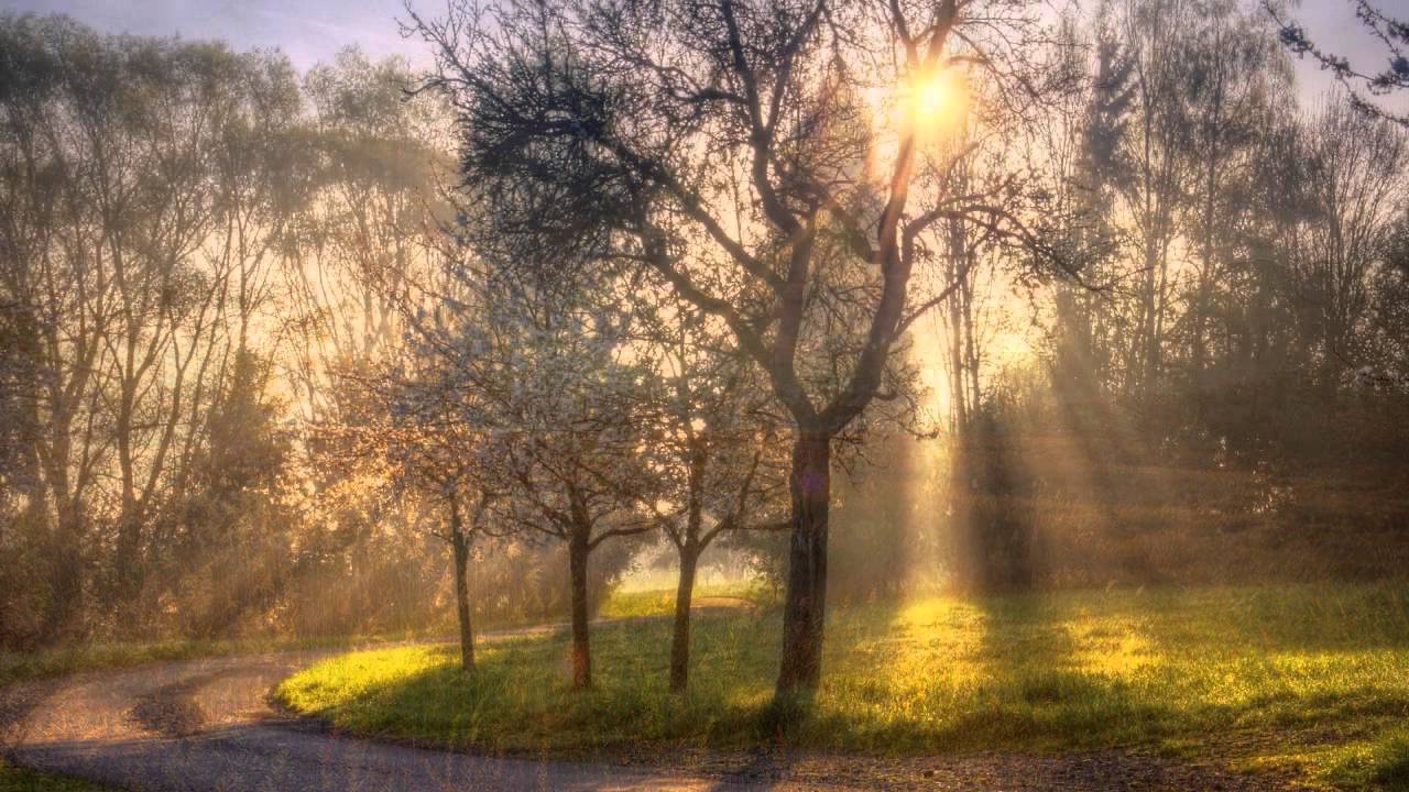 Martyn Bennett- John MacKenzie’s Fancy, Jim Tweedie’s Sealegs, PM ...