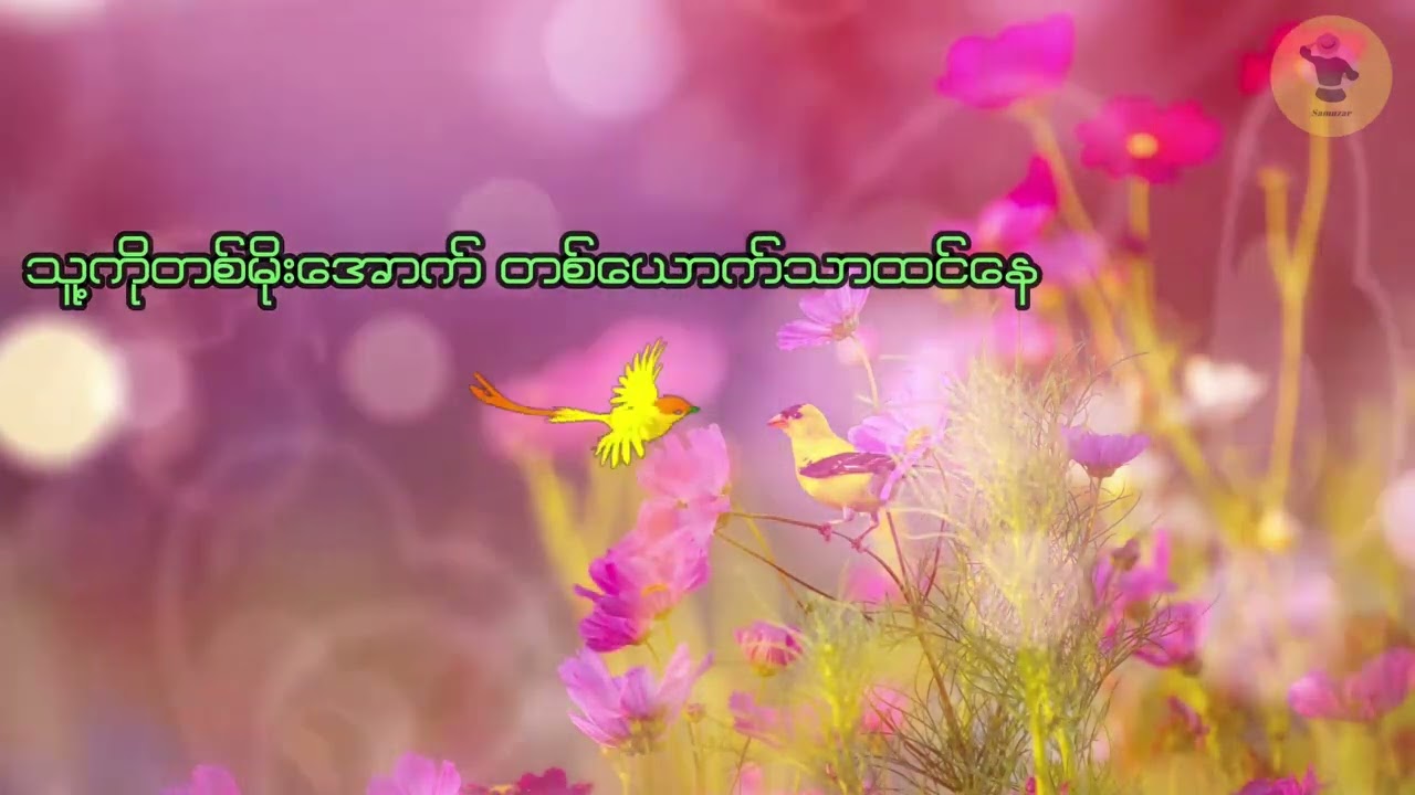 နှစ်ကိုယ်တူချစ်သမျှ / Nhit Ko Tu Chit Tha Mya /တေးရေး - မြို့မကိုပေ ...