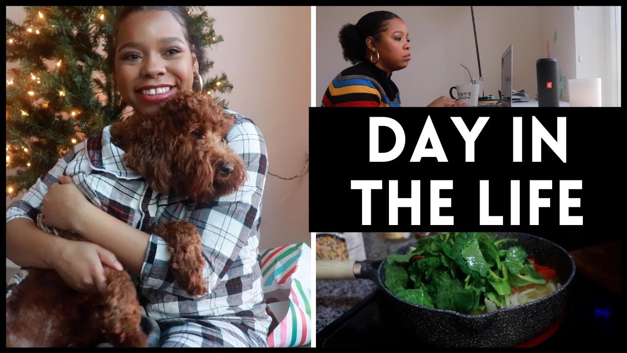 Vlogmas Day 7: Sunday Vlog, Holiday Pictures, New Recipe | Maya Fleming ...