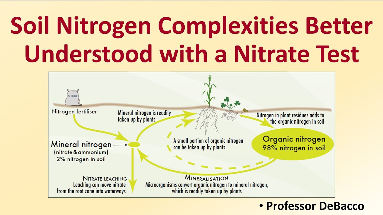 Soil Nitrogen Complexities Better Understood with a Nitrate Test - YouTube