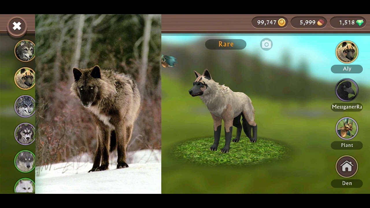 Wildcraft Wolf skins in Real Life - YouTube