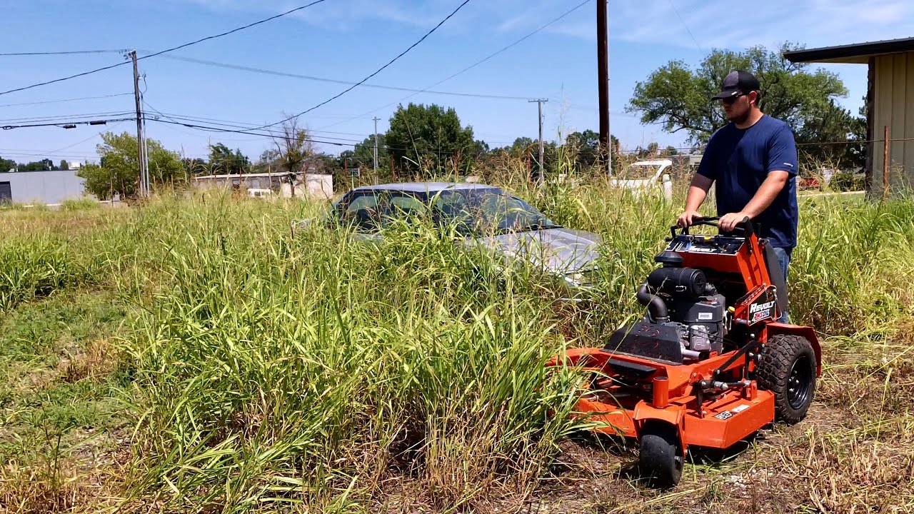 I found HIDDEN classic CARS in the TALL GRASS! - YouTube