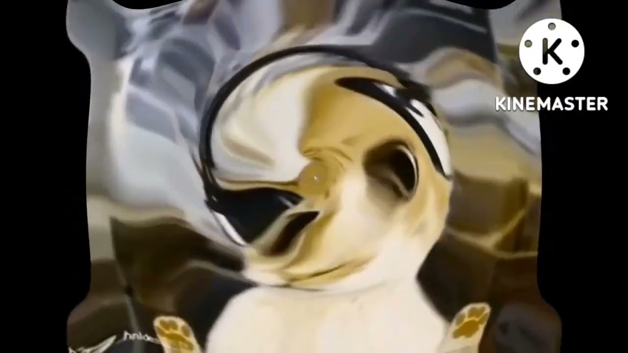 (REUPLOAD) Respondview 2 Numa Cats In Opposite Center Effects. - YouTube