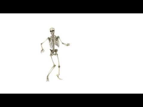 Skeleton Dance 3D