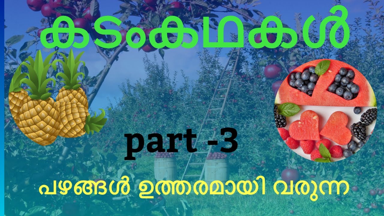 #kadamkadhakal/#puzzles/കടംകഥകൾ |പഴങ്ങൾ |fruits kadamkadhakal ...