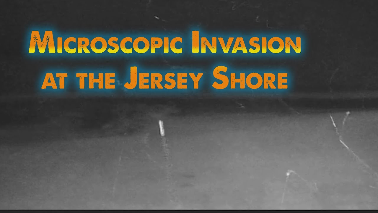 Could this be the start of a Microscopic Alien Invasion - at the Jersey ...